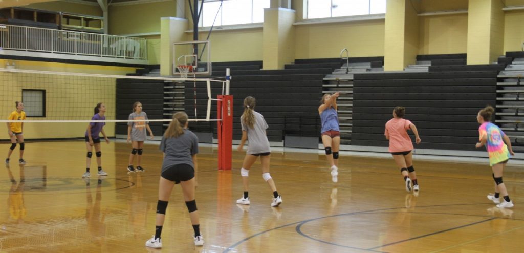 SH Lady Lions Volleyball Getting Ready For Season – Lexington Progress