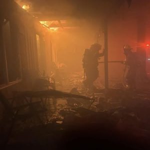 News – Lexington Progress